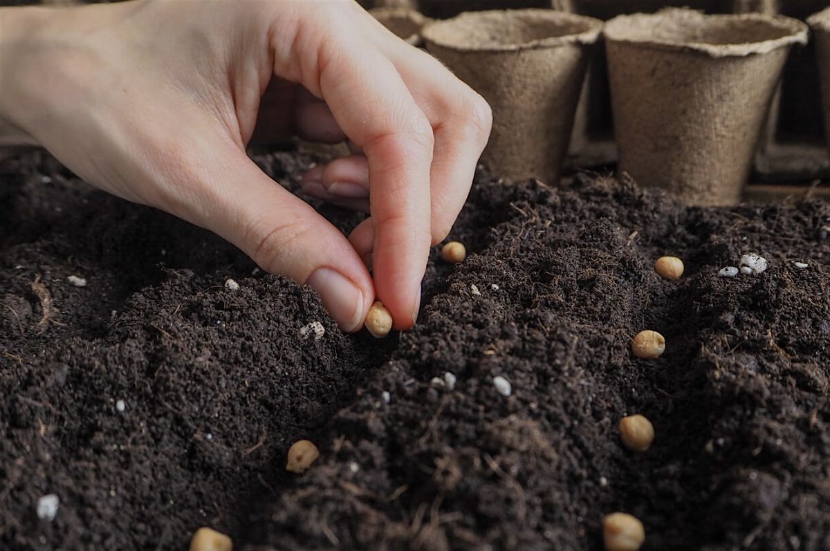 Winter Seed Sowing with Charis Storms, Fox Haven Organic Farm ...