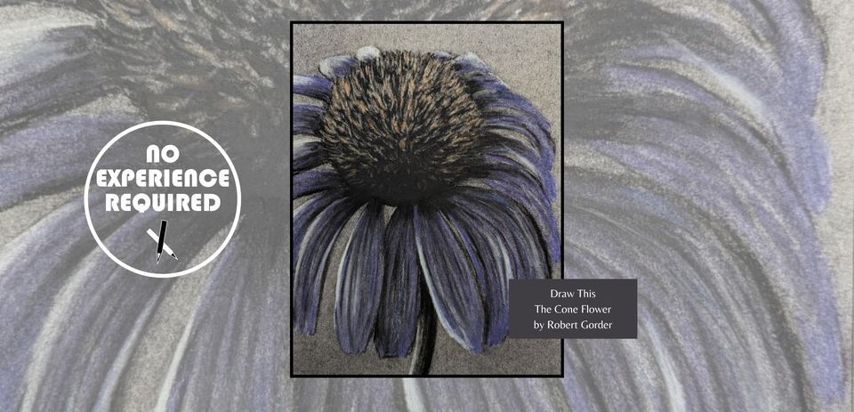 Charcoal Drawing Event "Cone Flower" in Reedsburg, Just One Bar & Grill ...