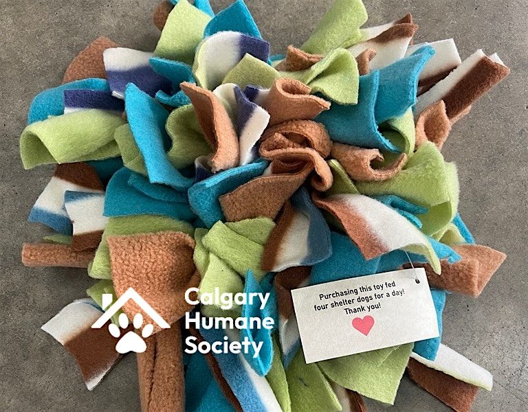 DIY Snuffle Mat Making!, YW Community Hub, Calgary, 31 May 2026 | AllEvents