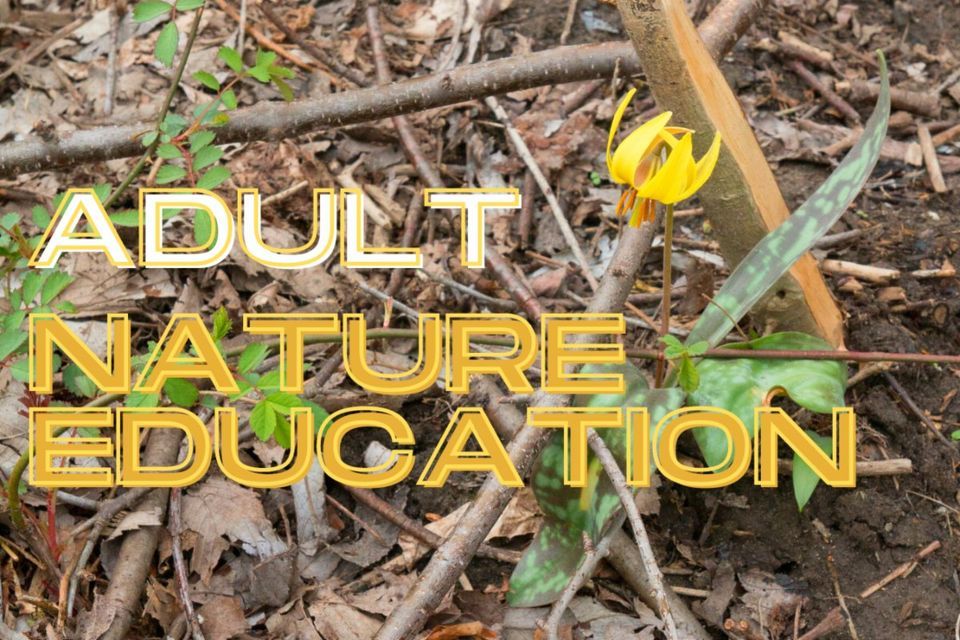 Maple Sugaring IN-PERSON Workshop, Farmington Hills Nature Center, March 12 2024 | AllEvents.in ...