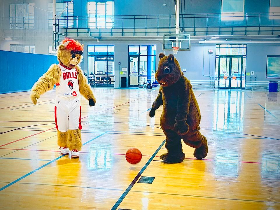 Woodstock Willie Plays Basketball, NOW Arena, East Dundee, 20 January 2024 | AllEvents