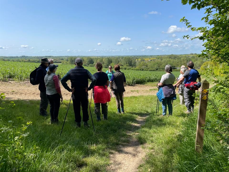 Suffolk Walking Festival Hawkedon Circular Nordic Walk, Hawkedon ...