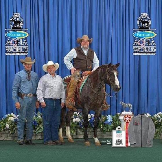 Shane Vaughan Ranch Riding Clinic, Oakwood Manor, Chenango Forks, 16 ...