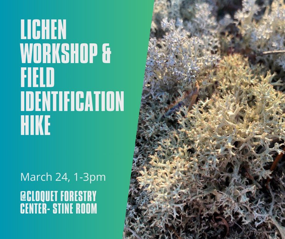 Lichen Workshop & Field Identification Hike, Cloquet Forestry Center, 24 March 2024 | AllEvents.in