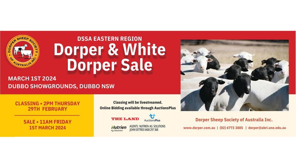 DSSA Eastern Region Sale, Dubbo Showgrounds, 1 March 2024 | AllEvents ...