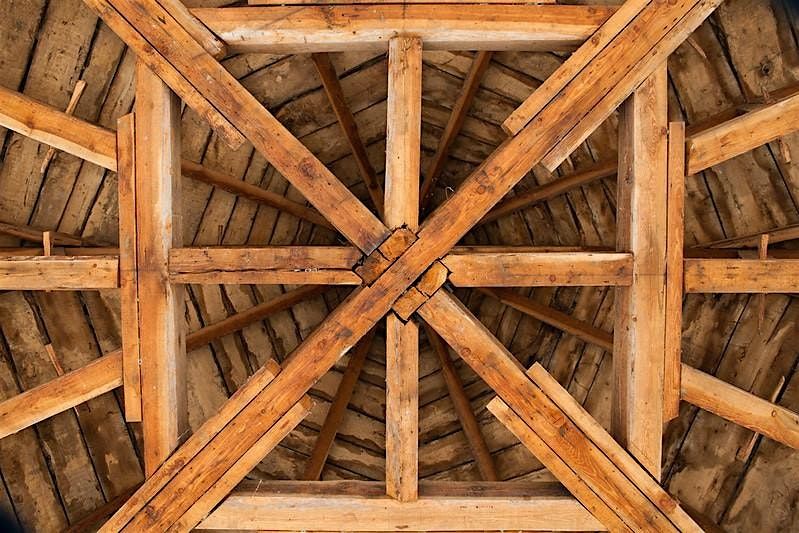 Shapeshifters Heartbeat: Boundaries & Resilience, Collins Place ...