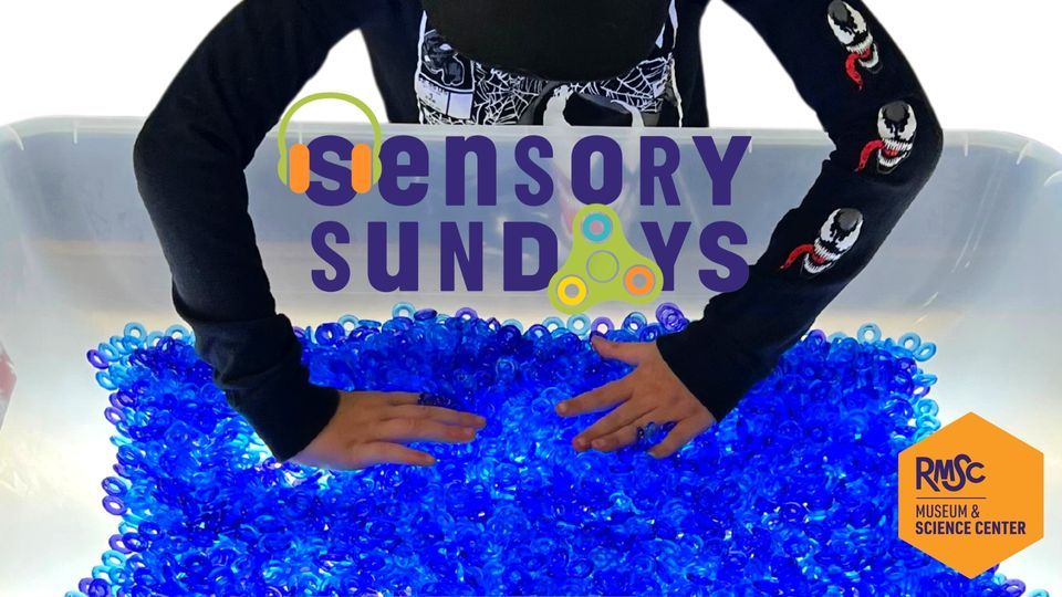 Sensory Sunday, Rochester Museum & Science Center, 10 December 2023 ...