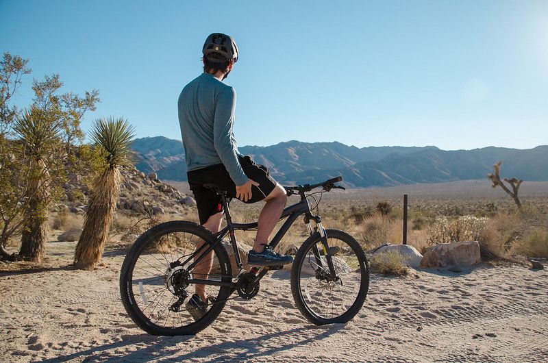 Desert Ecology Bike Tour, Joshua Tree National Park, December 3 2023 ...