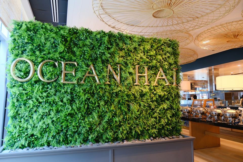 Haunted Beach Brunch, Ocean Hai, Clearwater, 29 October 2023 | AllEvents.in