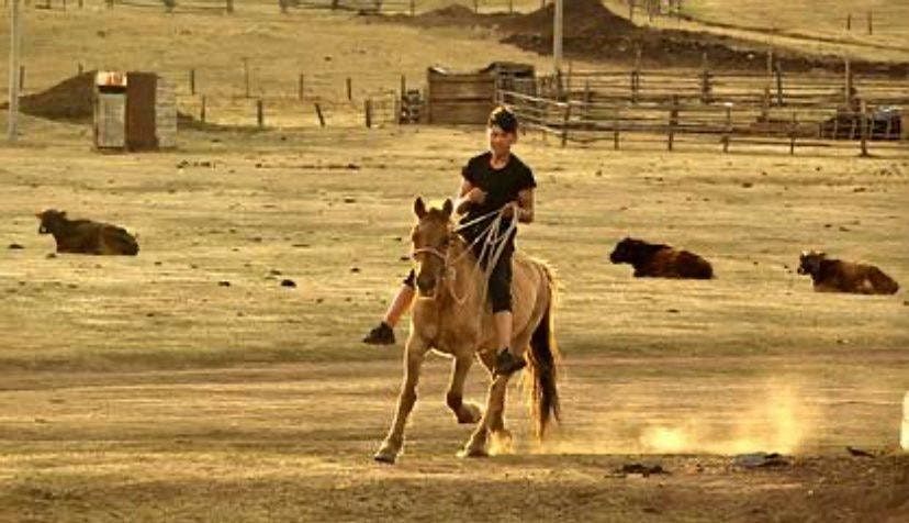 Holiday Horseback Trail Ride and Bonfire, Misty Manor Stables ...