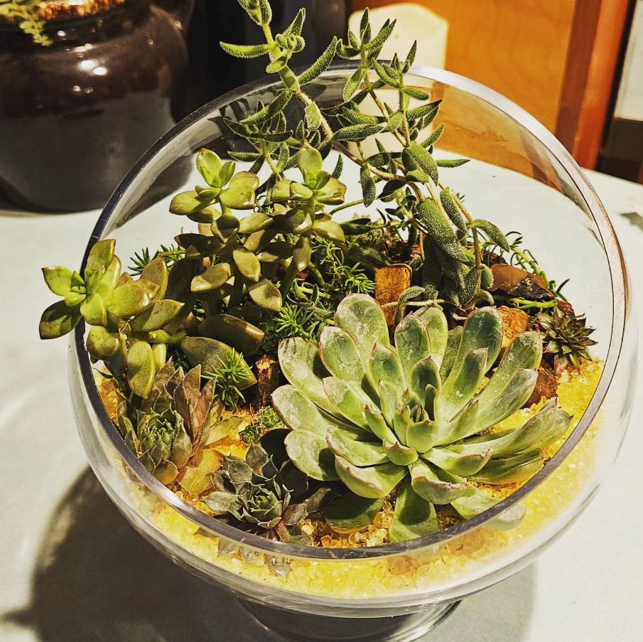 Terrarium Building with CorynzCreationz, Canyon River Ranch, Ellensburg ...