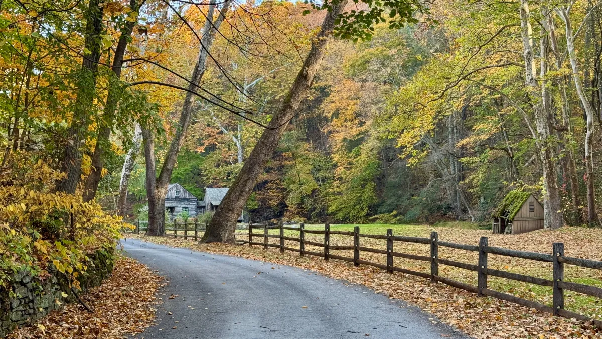 Fall Foliage Brunch, Virginia Forrest Recreation Area, Delaware Canal ...