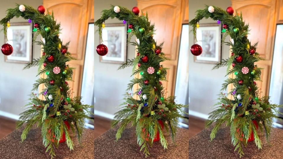 *SOLD OUT* Grinch Tree Workshop Dec 6 @ 5pm, La Bella Fiori, Staunton ...