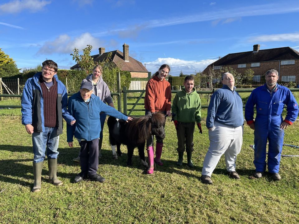 Open Day, High Mead Farm, Ham Lane, Ferndown, Wimborne Minster, 10 ...