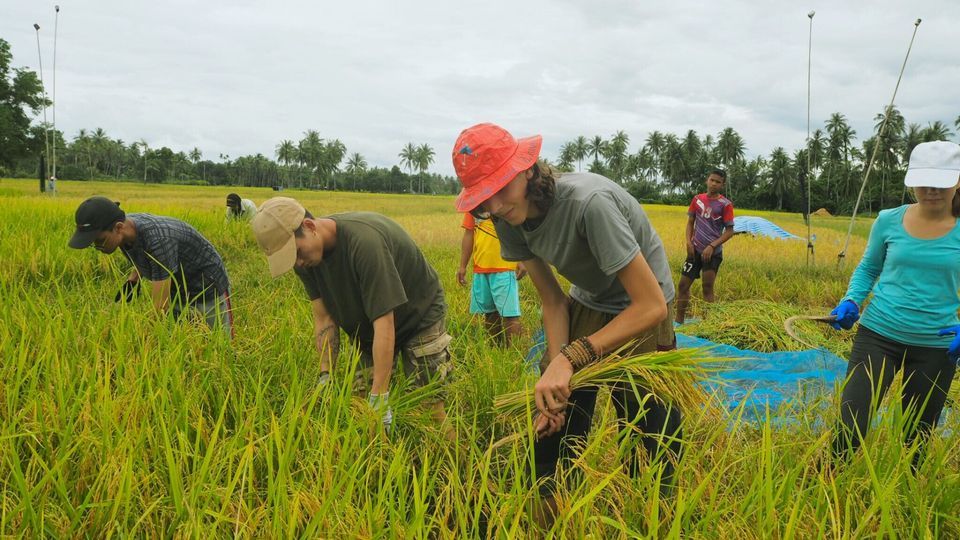Long-Term Volunteering: Info-event, SCI Switzerland (Schweiz, Suisse ...