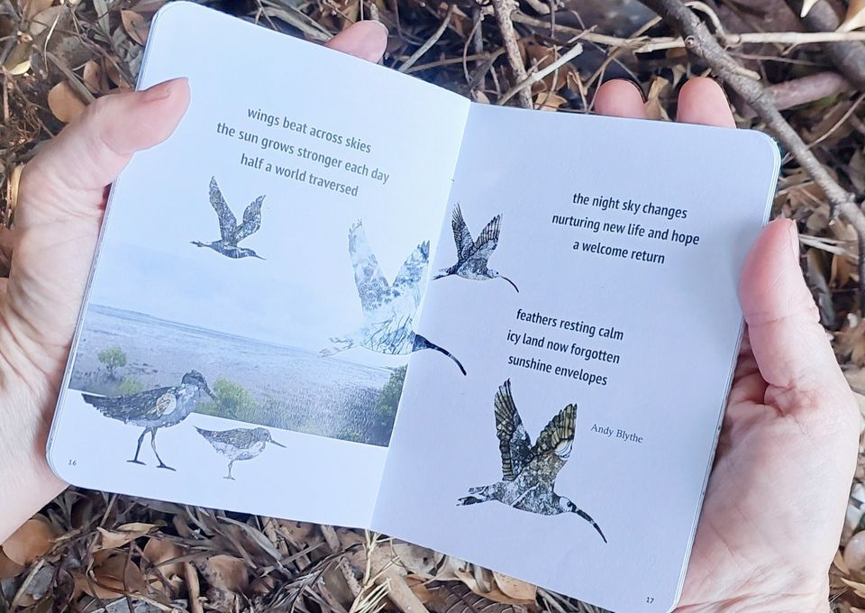 Wetland Wanderings Book Launch, Boondall Wetlands Environment Centre ...