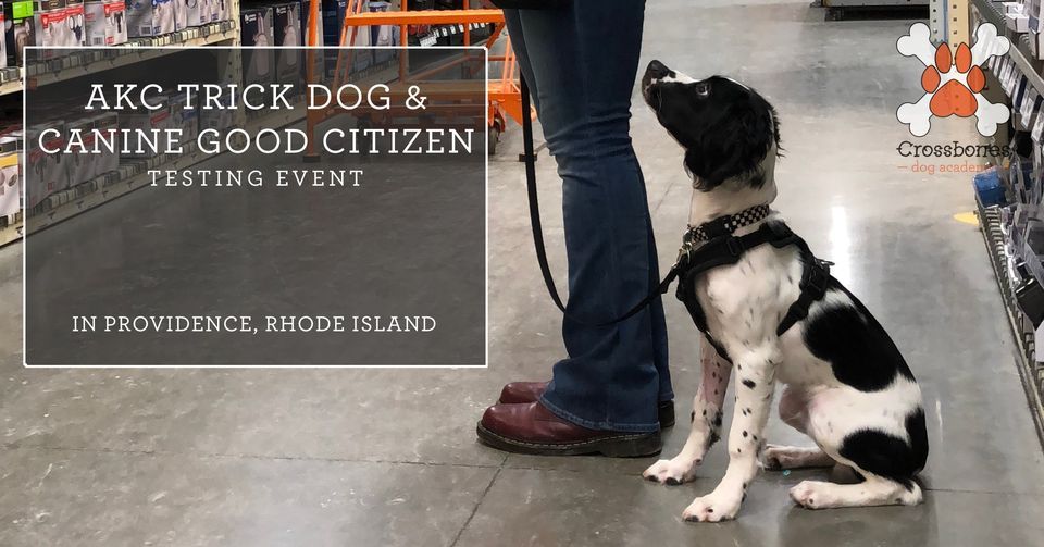 AKC Canine Good Citizen (CGC/CGCA/CGCU) & Trick Dog Testing ...