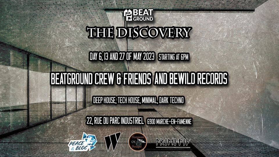 TECHNO PARTY THE DISCOVERY - FRIENDS AND BEWILD RECORD 6/13/27 MAI 2023 ...