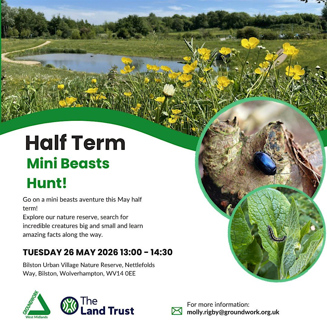 Mini Beast Hunt at Telford Millennium Nature Reserve, Telford ...