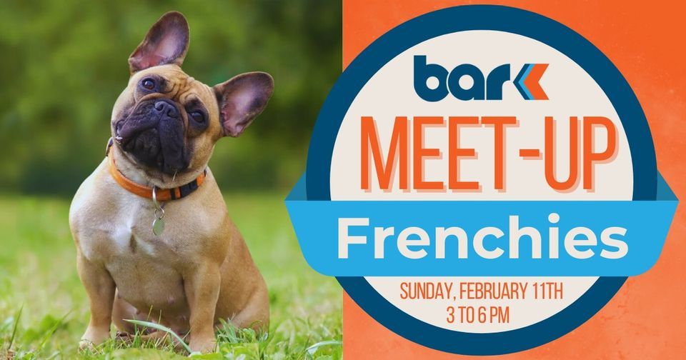 Breed Meet-Up: Frenchies, Bar K (Kansas City, MO), 11 February 2024 ...