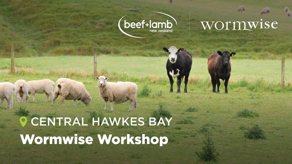 B+LNZ Wormwise Workshop - CHB, Vet Services Waipukurau, Havelock North ...