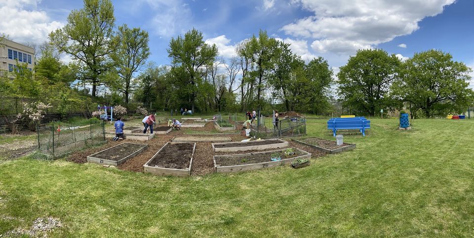 Seed Swap with Beechview Community Garden, Carnegie Library-Beechview ...