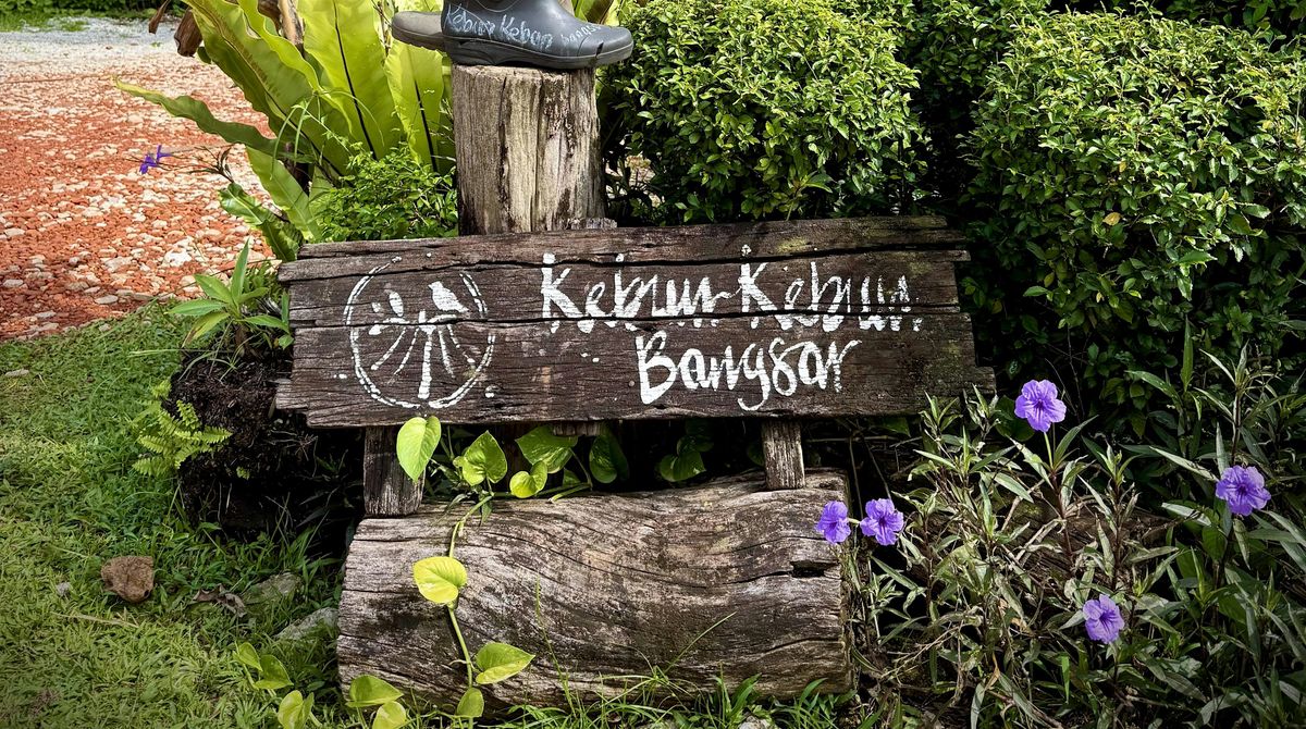 Kebun Kebun Bangsar Gotong Royong Session, Kebun Kebun Bangsar (Veggie ...