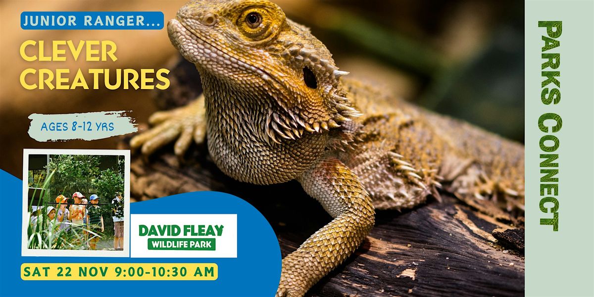 Junior Ranger – Clever Creatures, David Fleay Wildlife Park, Burleigh ...