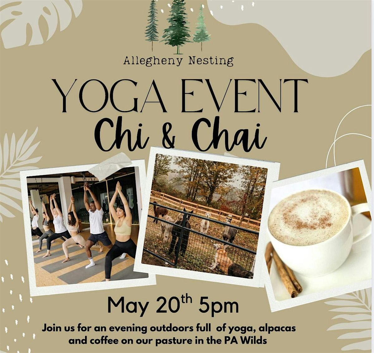 Chi & Chai with Alpacas!, 5560 Highland Rd, Kane, 20 May 2025 | AllEvents
