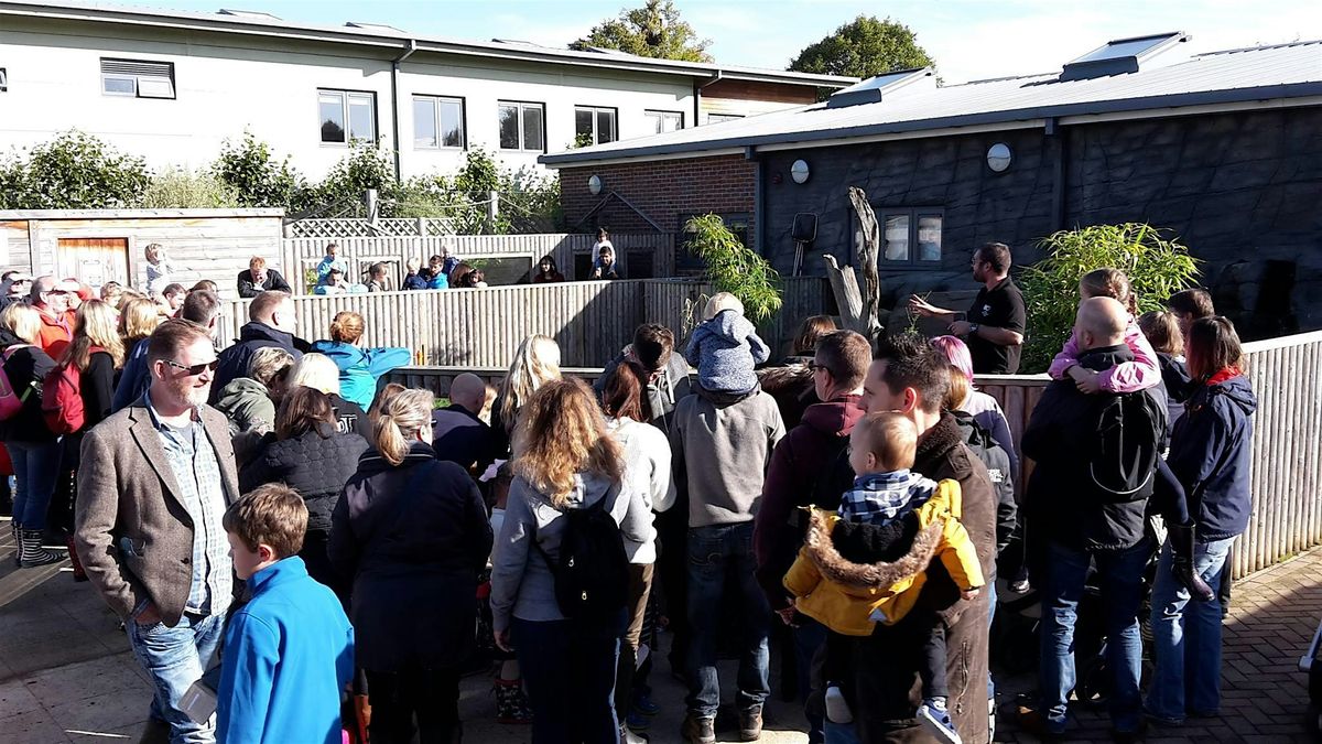 BCA Family Zoo Day, BCA Zoo, Burchett's Green, 26 October 2025 | AllEvents