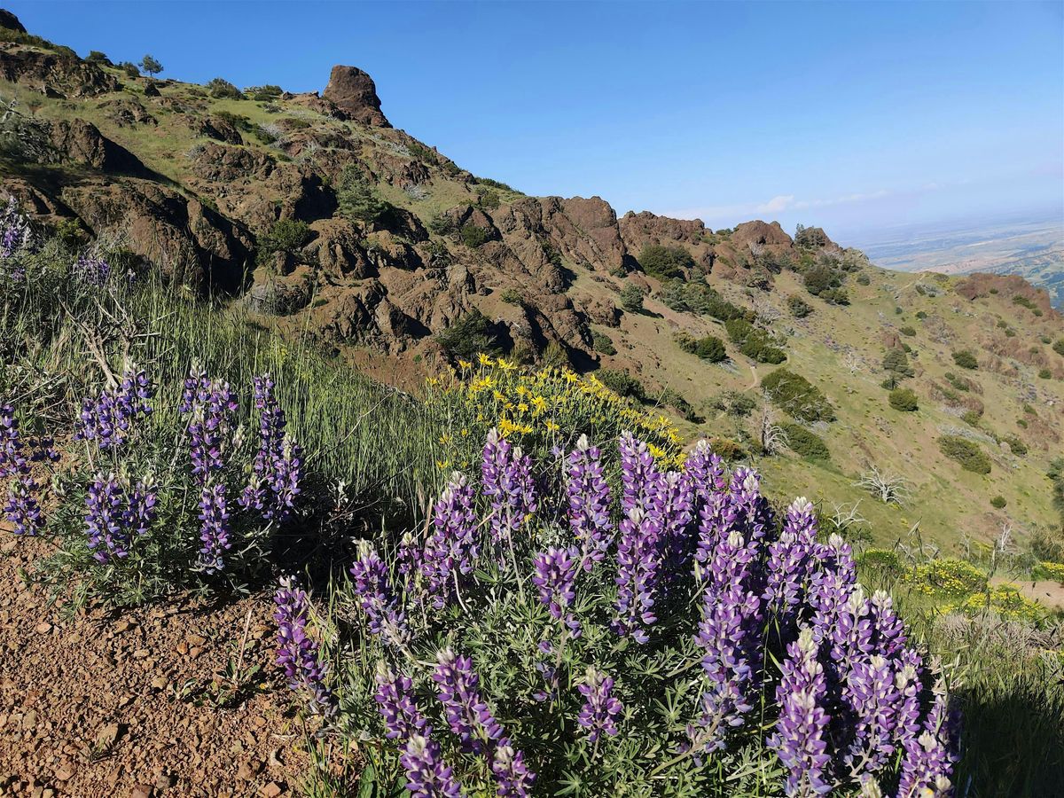 Mount Diablo spring hike, Blackhawk Plaza, Danville, 22 May 2025 ...