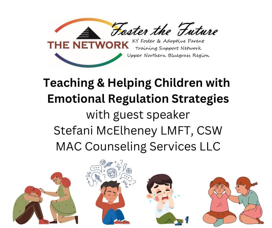 Training - Teaching & Helping Children with Emotional Regulation ...