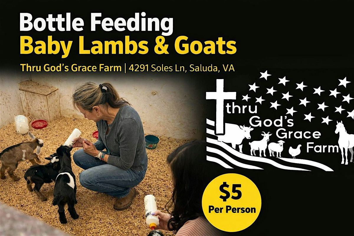 Bottle Feeding Baby Lambs & Goats at Thru God’s Grace Farm, 4291 Soles ...