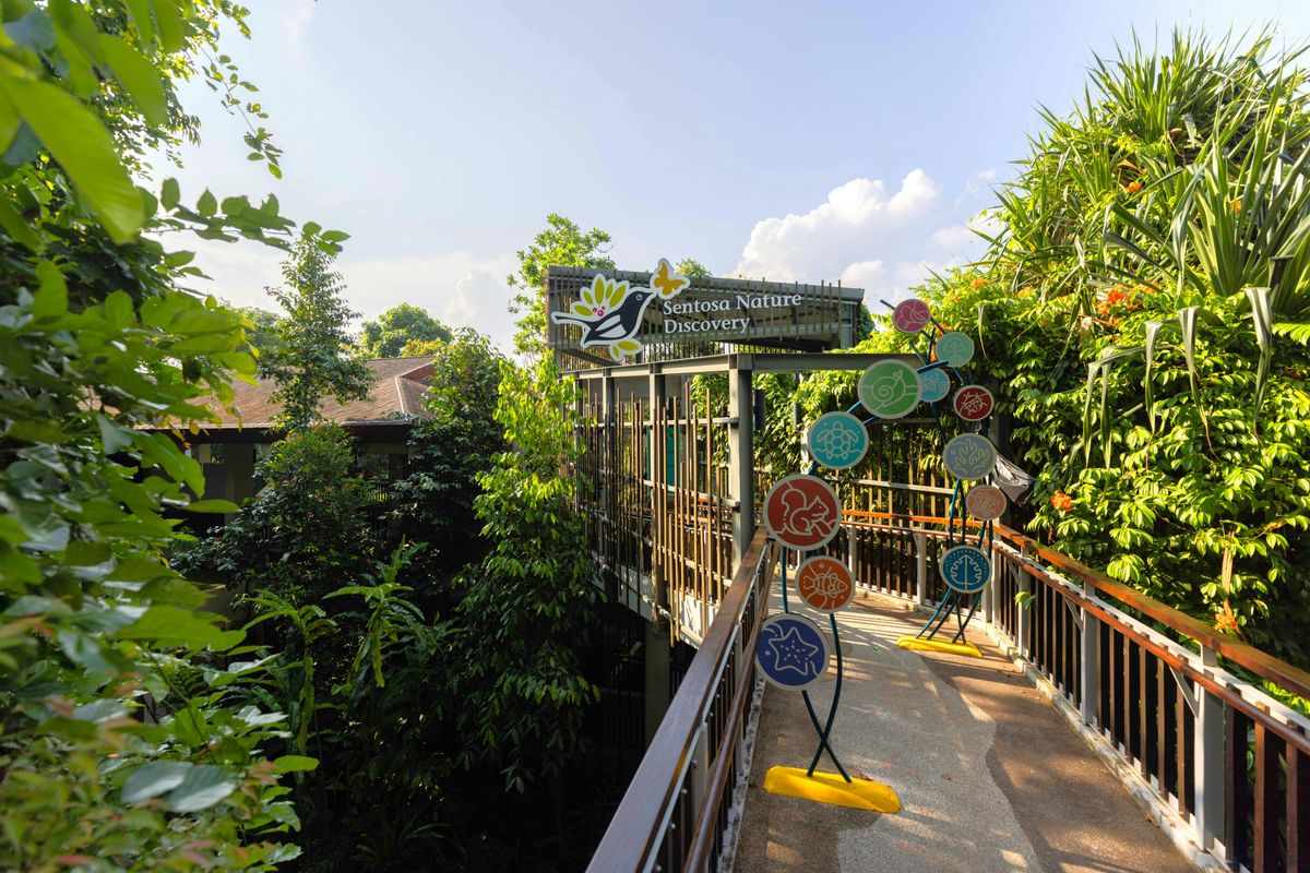 Sentosa Nature Discovery Guided Tour @ 11am, Sentosa Nature Discovery ...