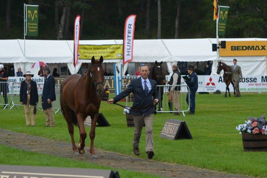Showjumping training with David Gatherer, Boydstone Farm Stables ...