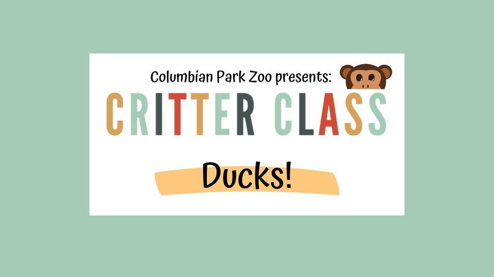 Critter Class: Ducks!, Columbian Park Zoo, Lafayette, March 9 2024 | AllEvents.in