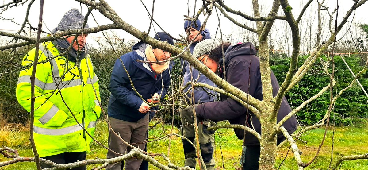 Fruit Tree Pruning Workshop, Coole Eco Community, Ferbane, 8 March 2025 | AllEvents