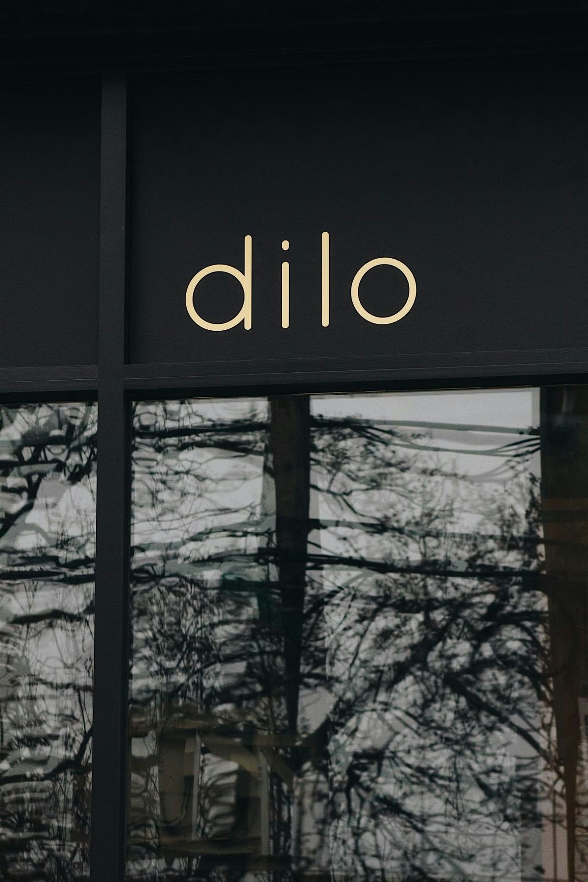 Dilo NoLibs: A Housewarming, dilo NoLibs, Philadelphia, 9 May 2025 ...