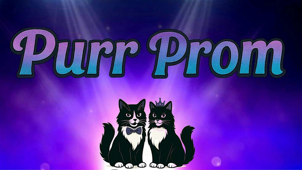 Purr Prom 2025: The Cat Lover’s Night Out , La Flaca at The Square ...
