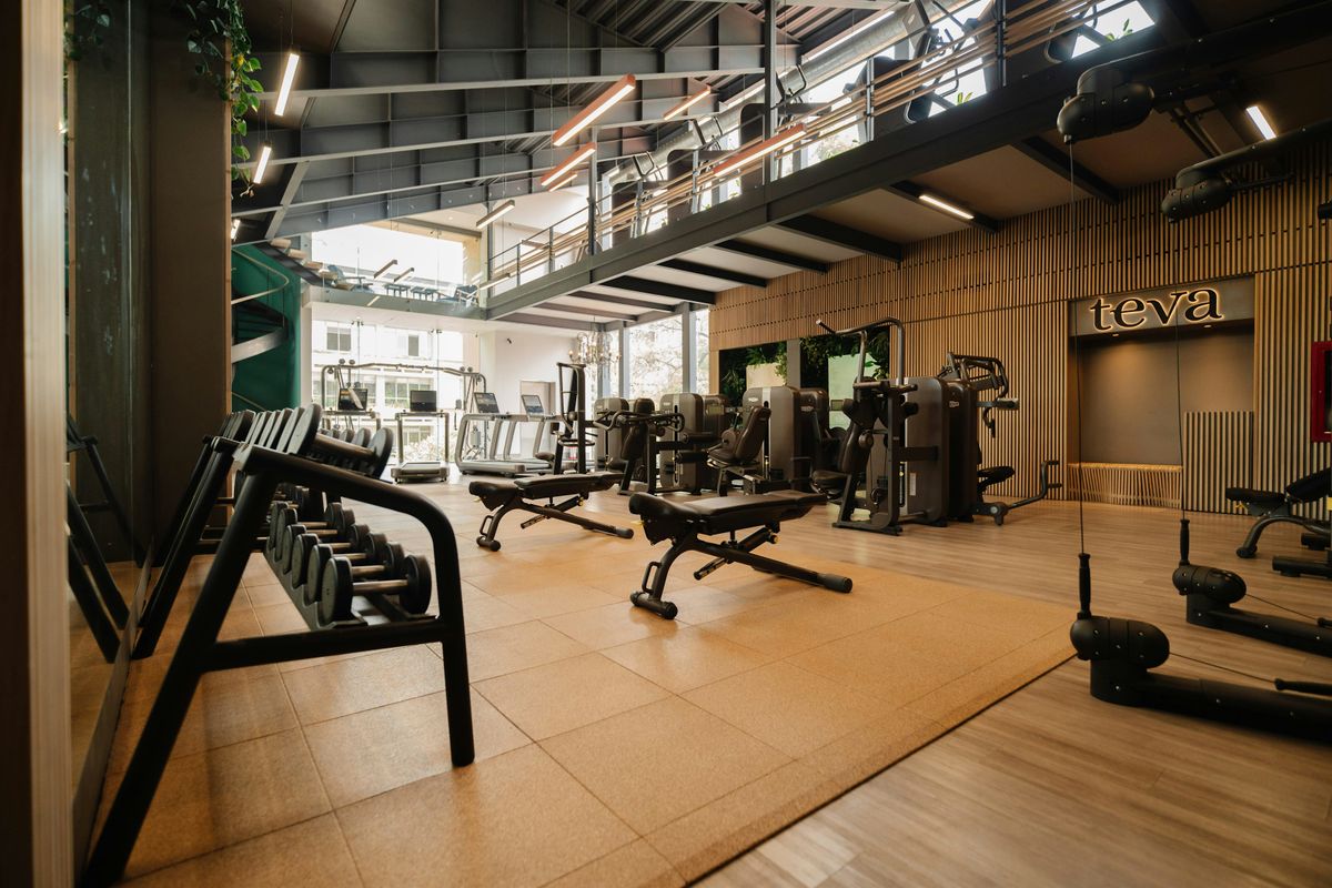 Day Pass Gym Access - Teva Wellness in Polanco, Teva Wellness ...