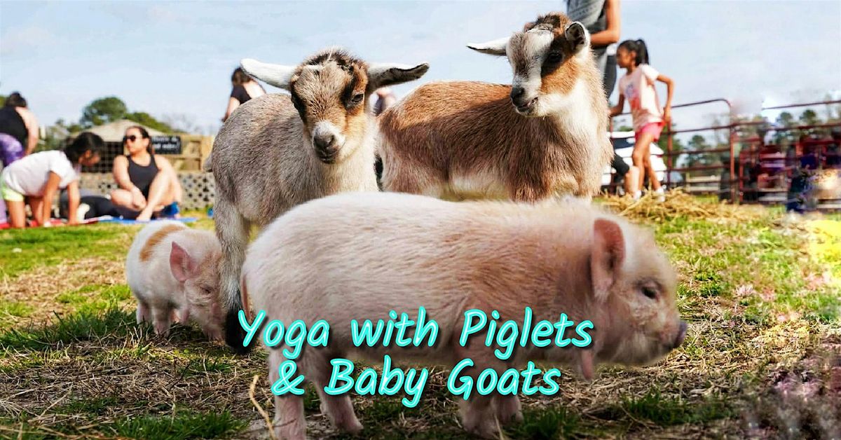 Baby Goat Yoga & Piglets Yoga Combine! Saturday July 12 th at 9 am ...