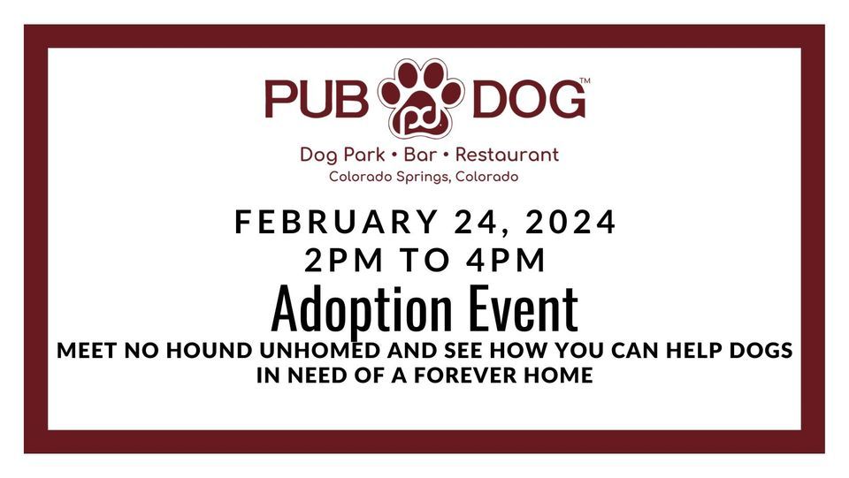 Adoption Event, Pub Dog Colorado, Colorado Springs, 24 February 2024 ...