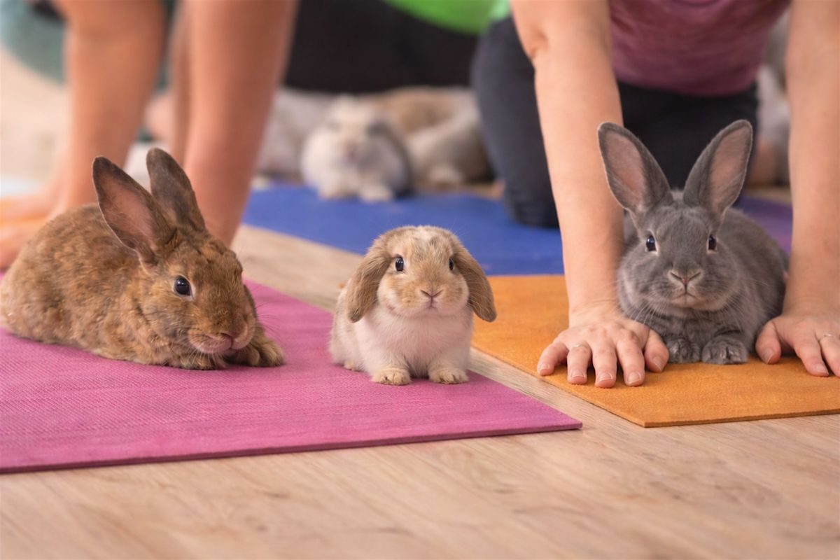 Easter Bunny Yoga (Kids & Family), 945 Bartlett Rd, Aurora, 20 March to ...