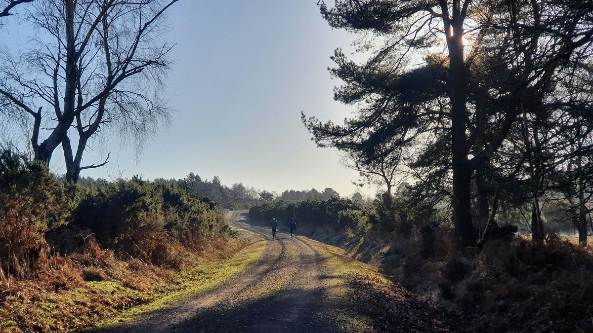 Longmoor Through The Ages Guided Walk, Longmoor Cark Park (Forest Road ...