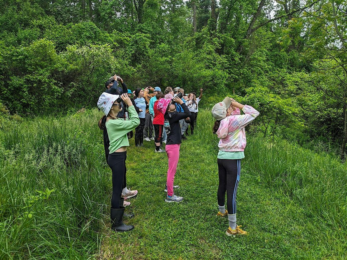 I Spy With My Little Eye: Scavenger Hunt Hike, Old Trolley Line Park ...