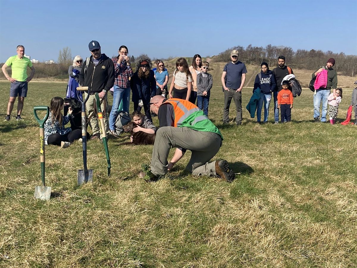 Community Tree Planting Event at Wideopen - lets plant some trees ...