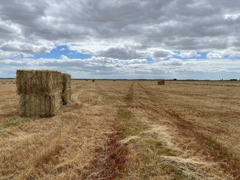 Filling Feed Gaps Strategies for decision making success in navigating ...