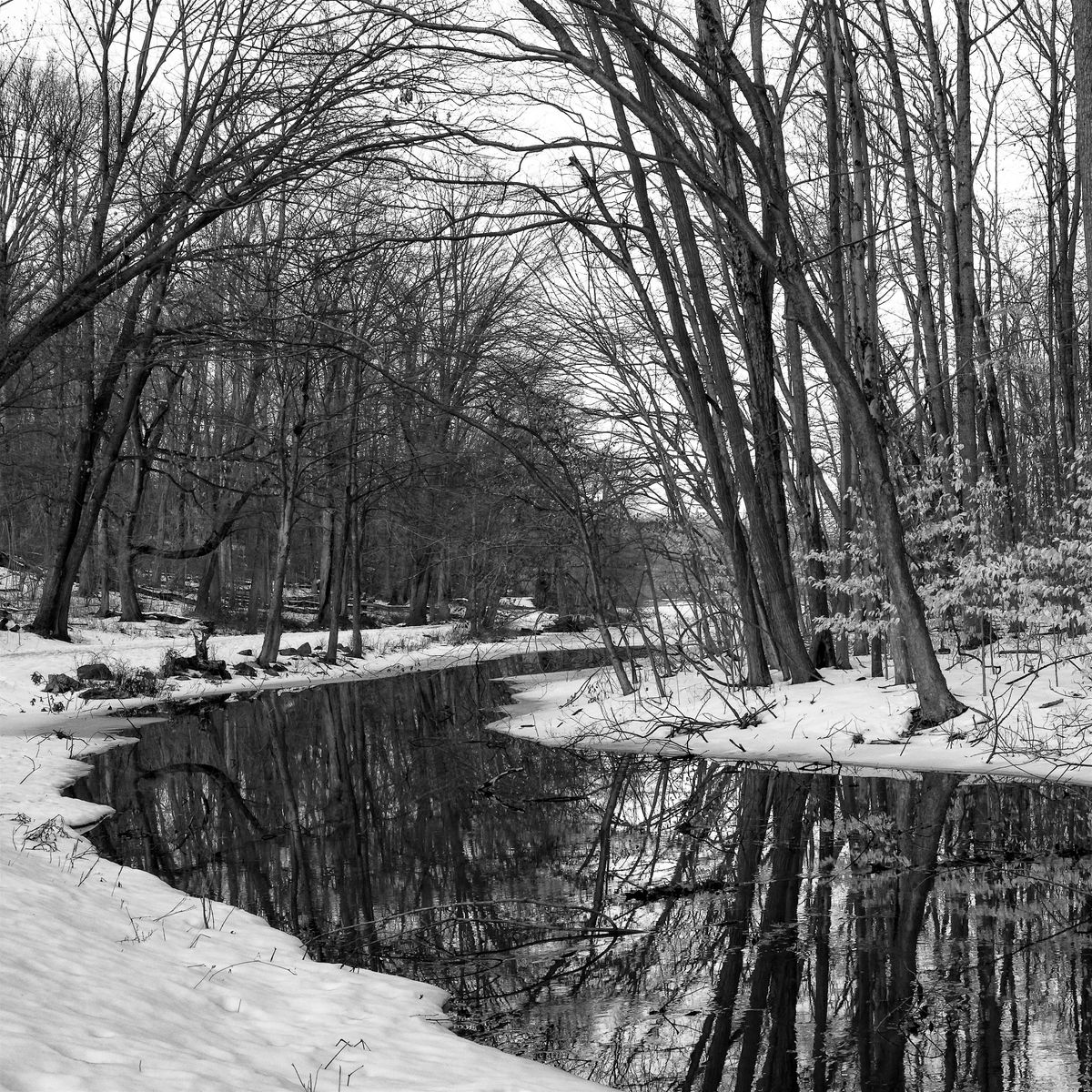 Hike with Mike: Big Tree and Pocantico River, Rockefeller State Park ...