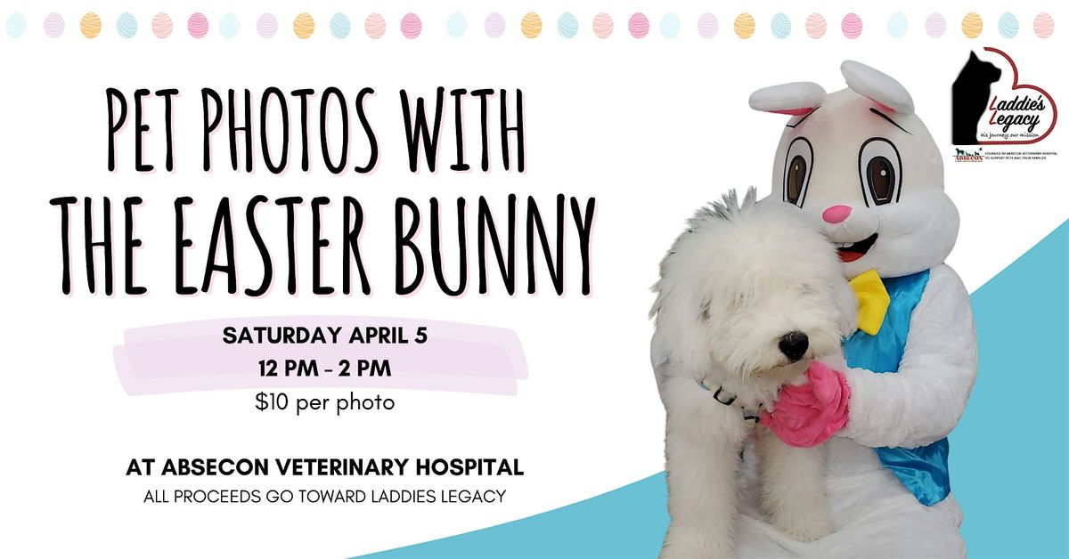 Pet Pictures with the Easter Bunny, Absecon Veterinary Hospital, 5 ...