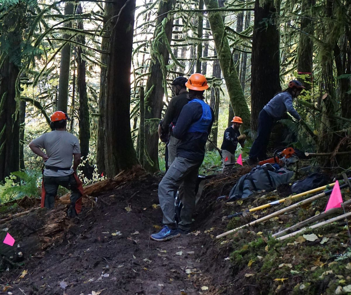 DIG DAY - Hagg Lake, Henry Hagg Lake Eagle Point (34), Gaston, 7 ...